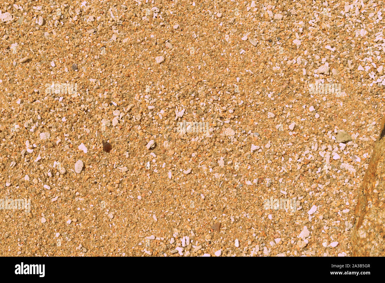 Coral sandy hi-res stock photography and images - Alamy
