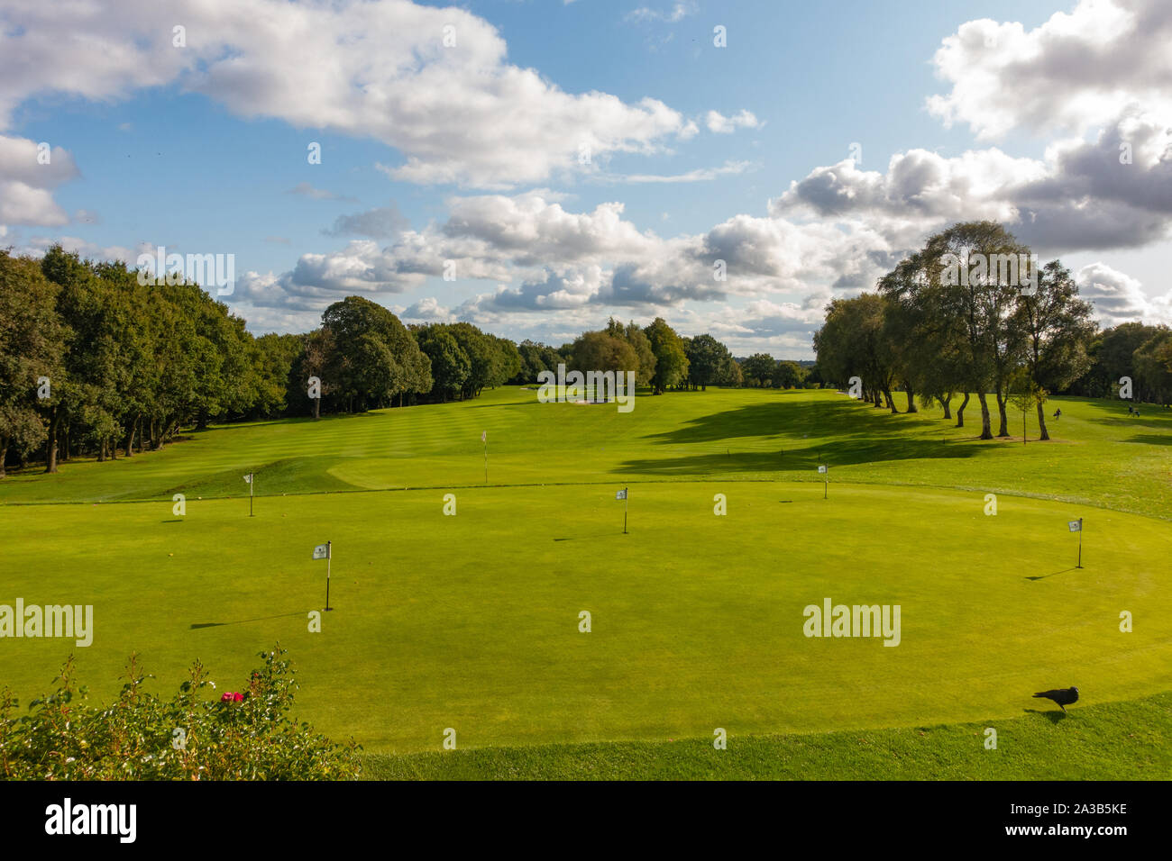 Edgbaston golf club hi-res stock photography and images - Alamy