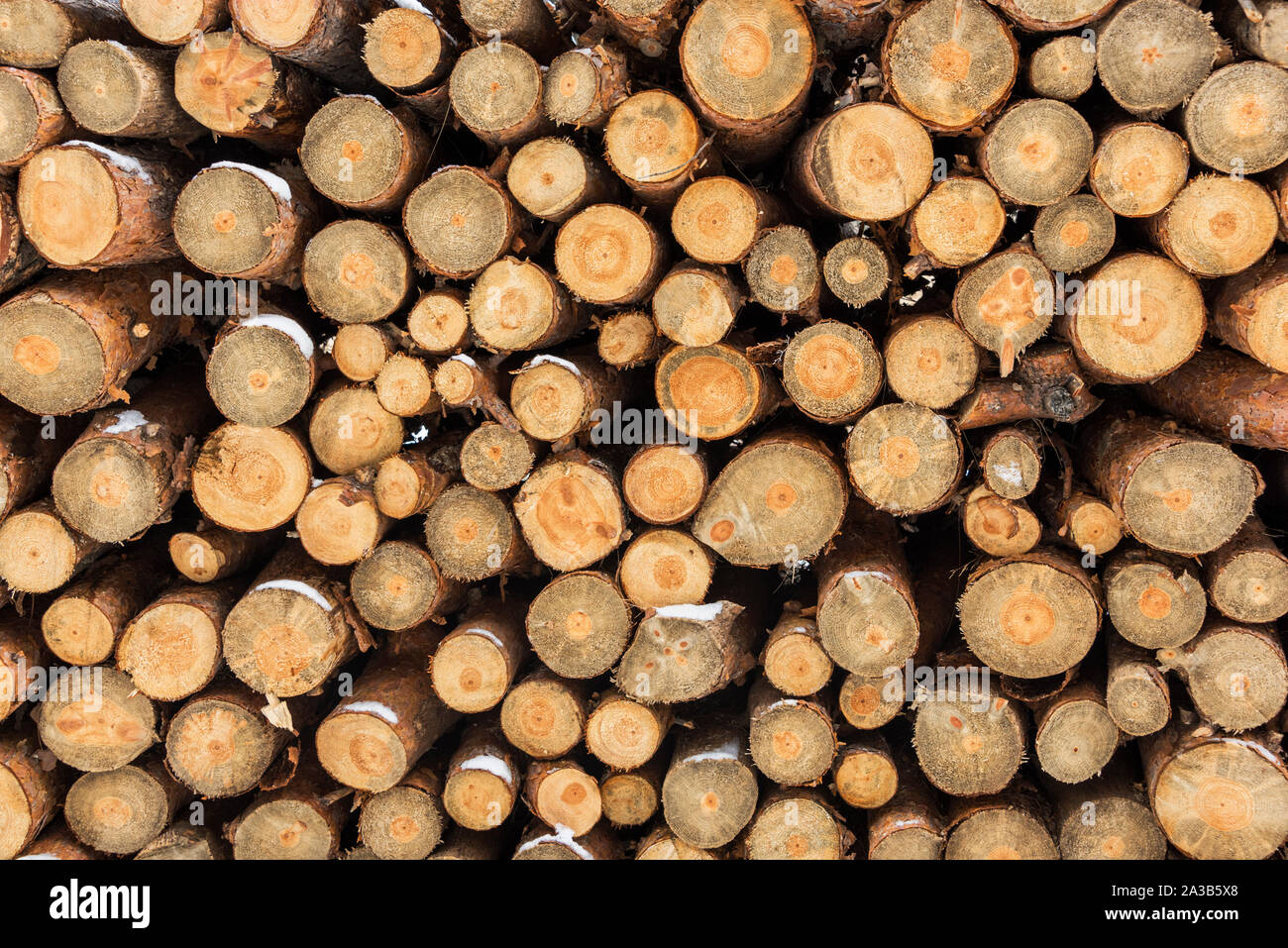 Log pattern hi-res stock photography and images - Alamy