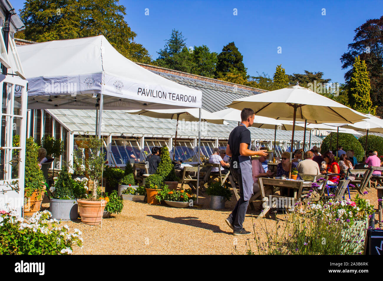 Edwardian tea women hi-res stock photography and images - Alamy