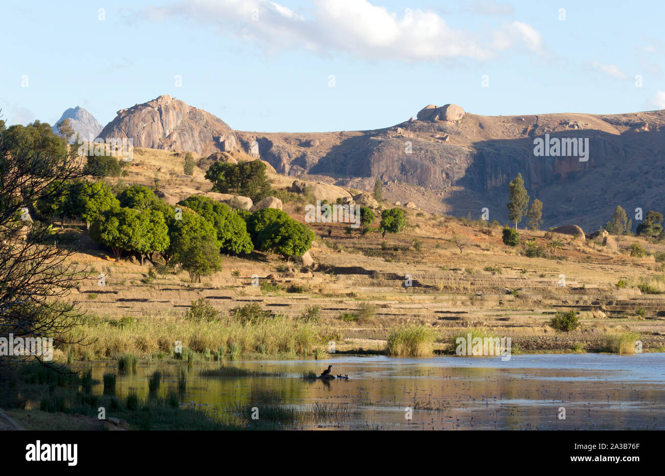 Typical landscape in the south of Madagascar, Africa Stock Photo - Alamy