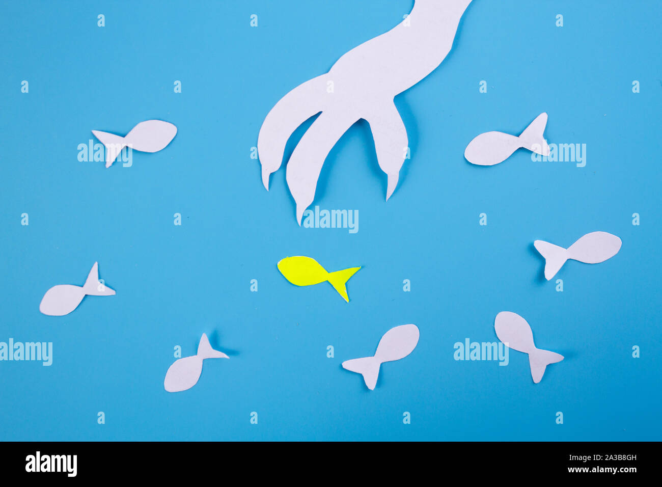 Cat's paw trying to catch gold fish Stock Photo - Alamy