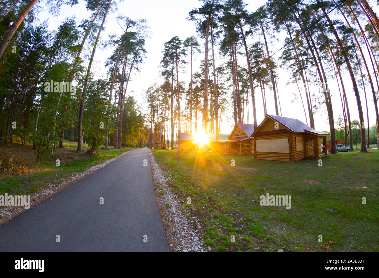 Wooden house in pine forest in sunset Stock Photo - Alamy