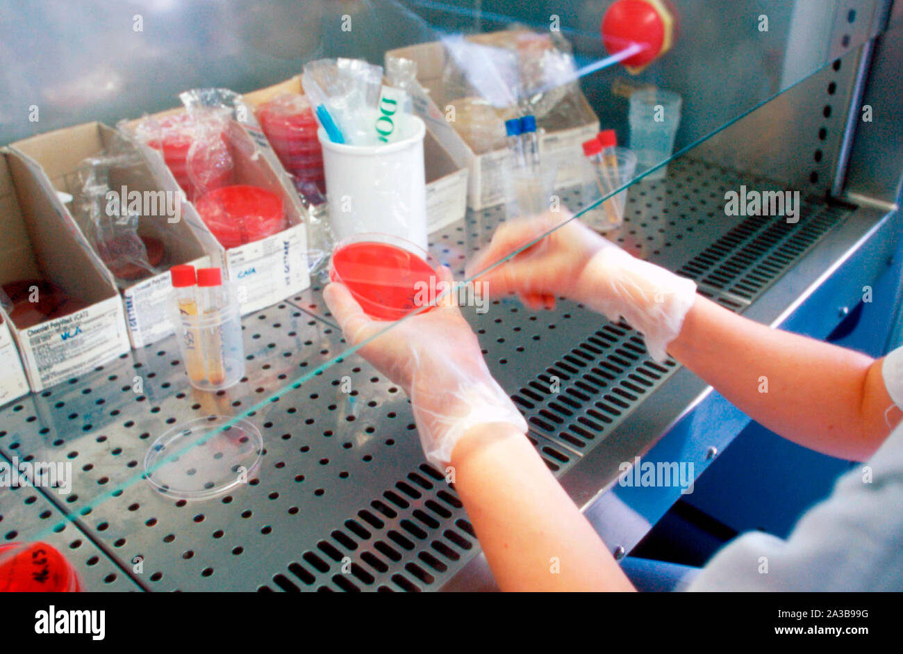 hospital, chemical tests Stock Photo - Alamy