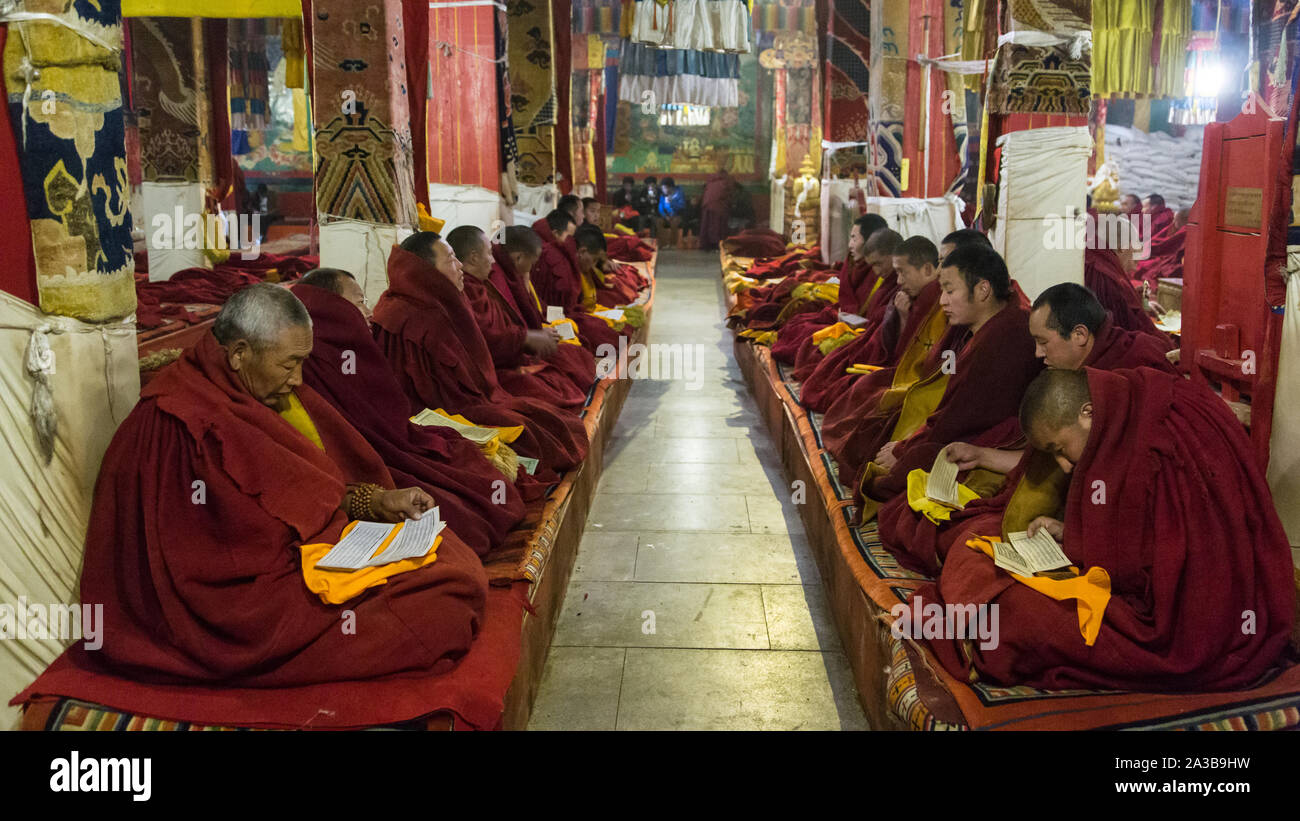 Buddhist monks read scriptures as worshipping in the Coqen Hall or Main ...