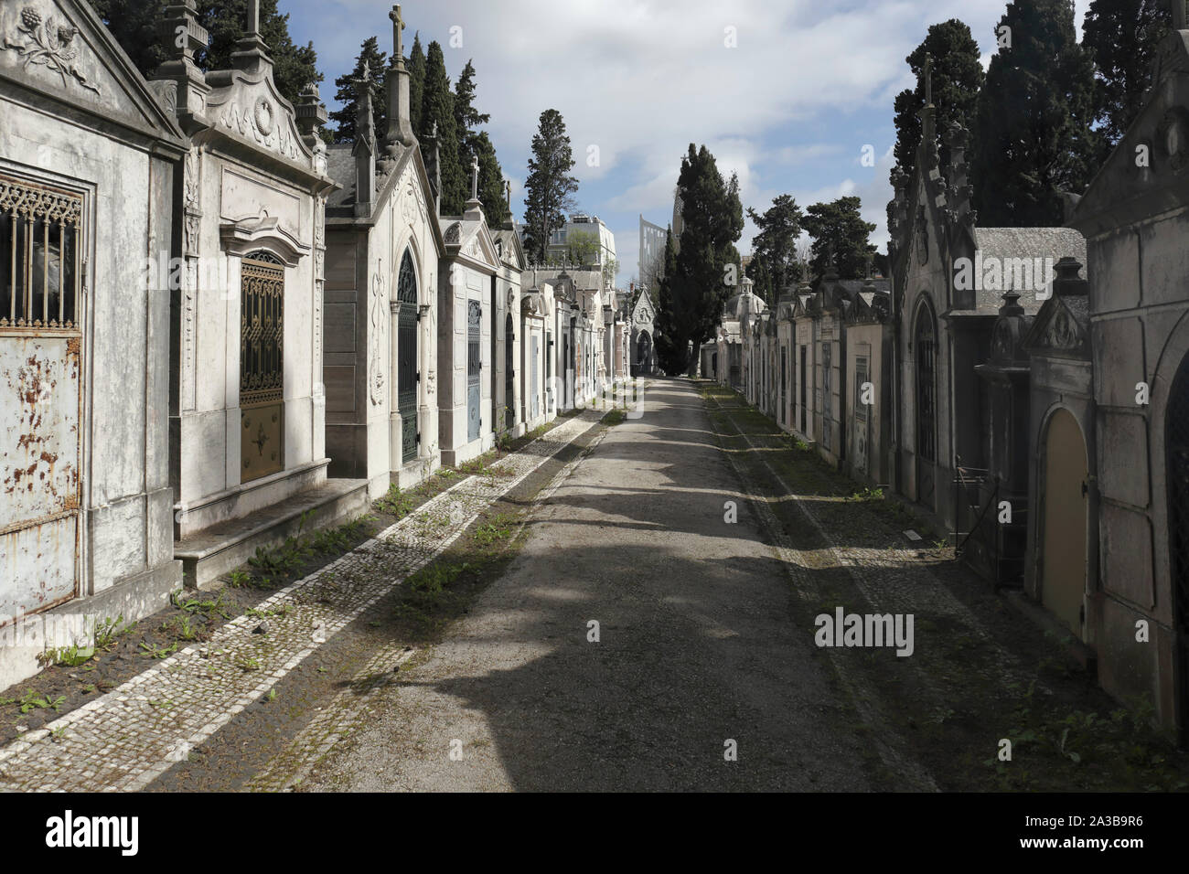 Beautiful old european cemetery street Stock Photo - Alamy