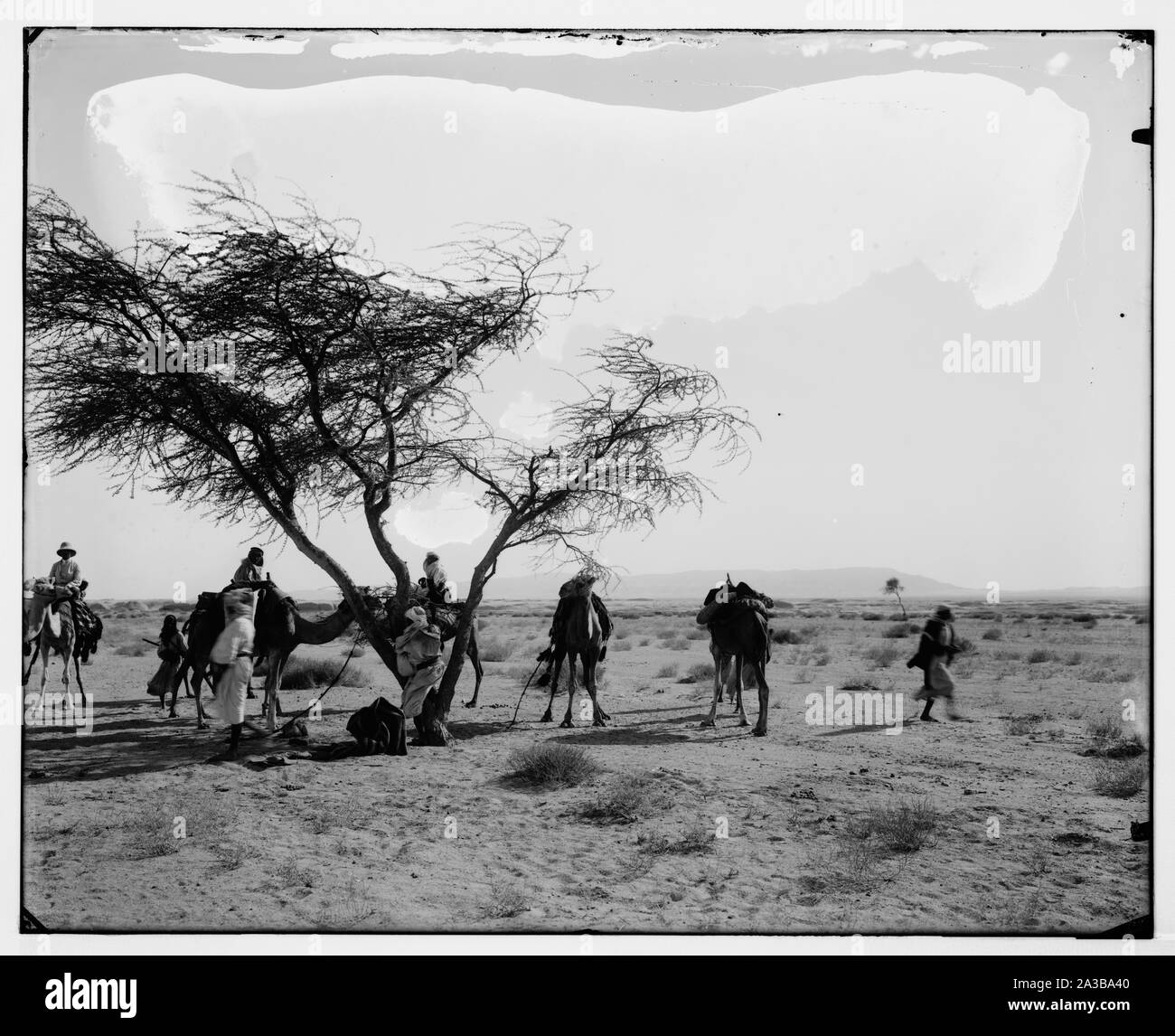 Sinai. Caravan in the heart of the desert of el-Ka'a (Wilderness of Sin ...