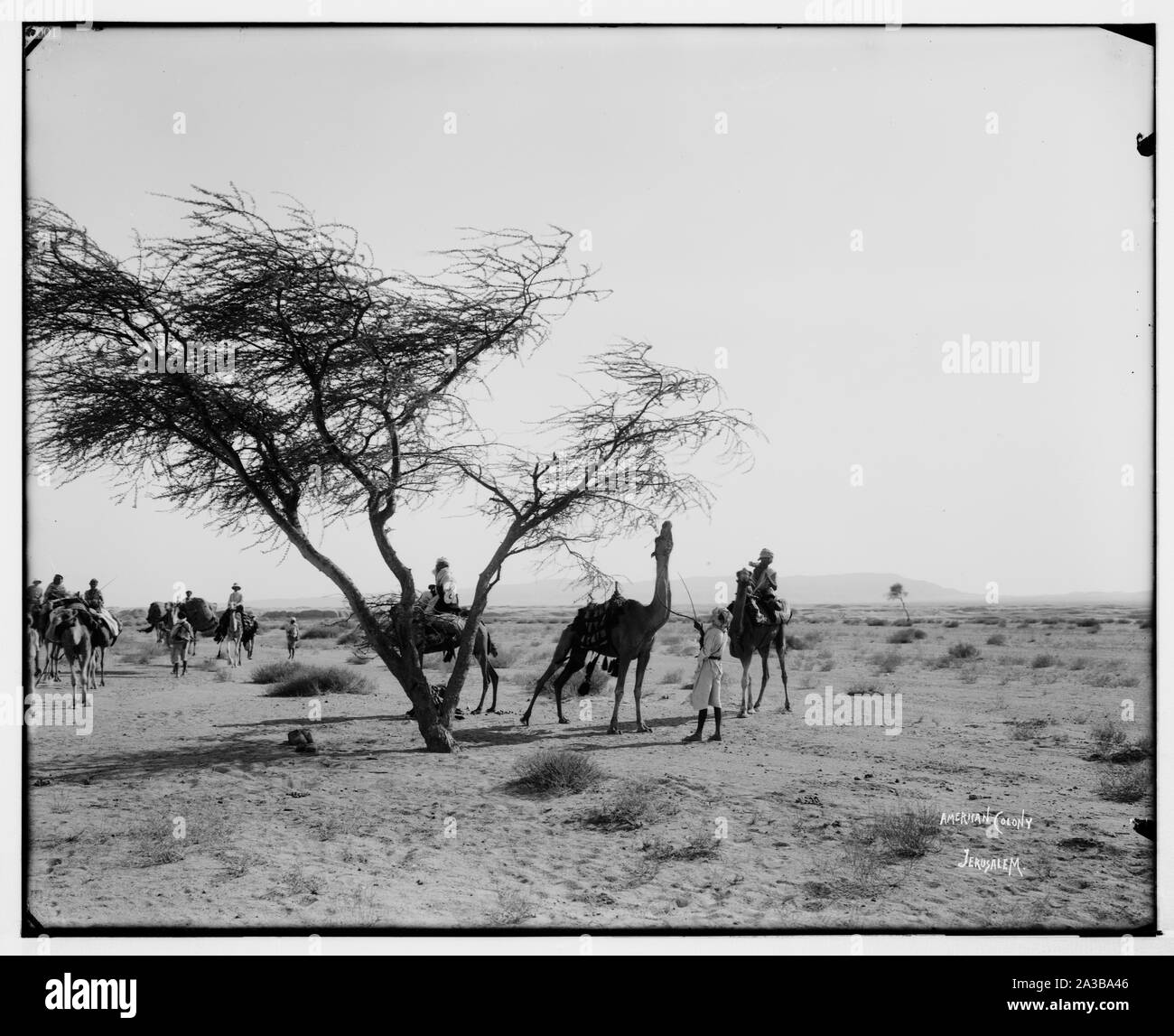 Wilderness of sin hi-res stock photography and images - Alamy