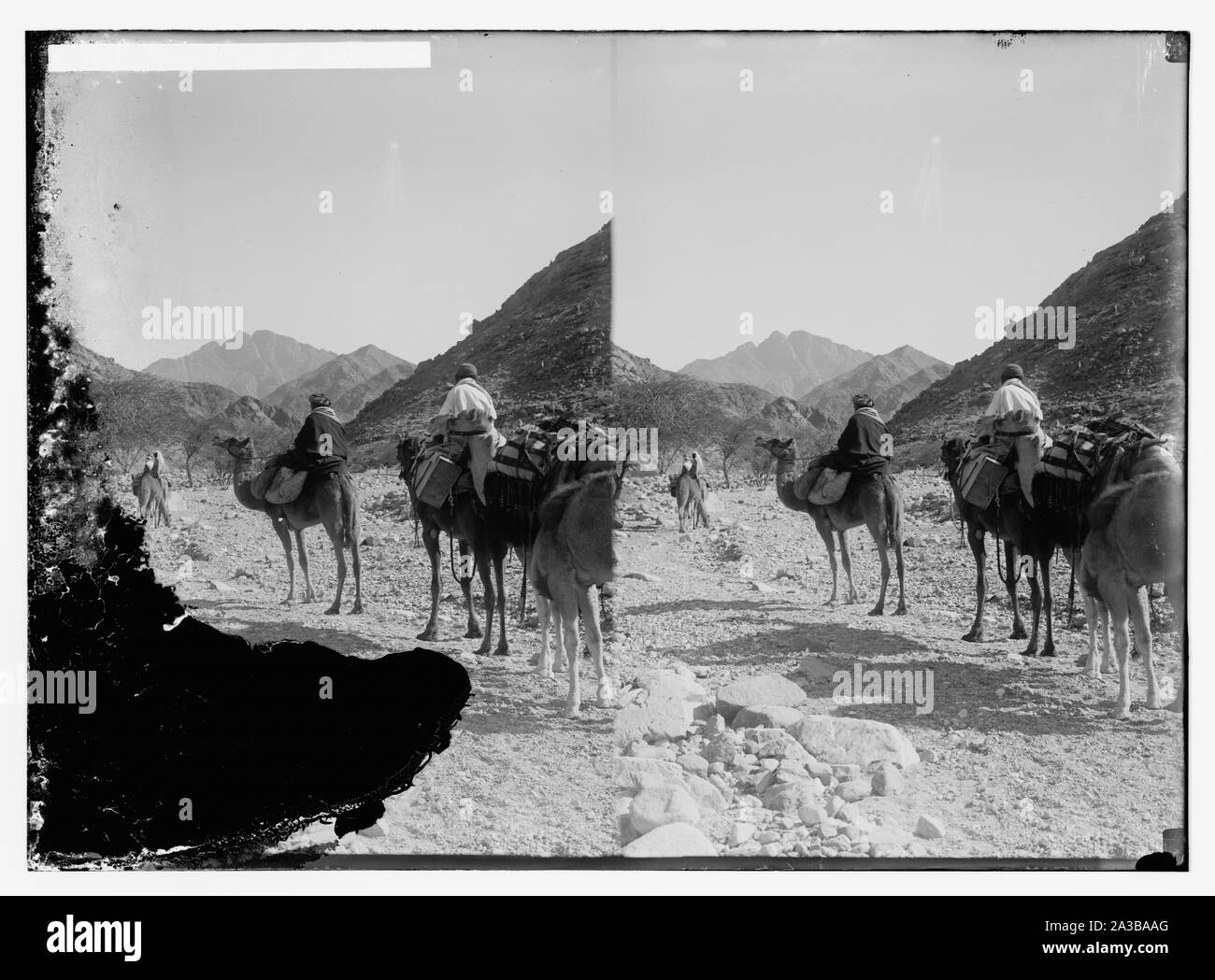 North sinai Cut Out Stock Images & Pictures - Alamy