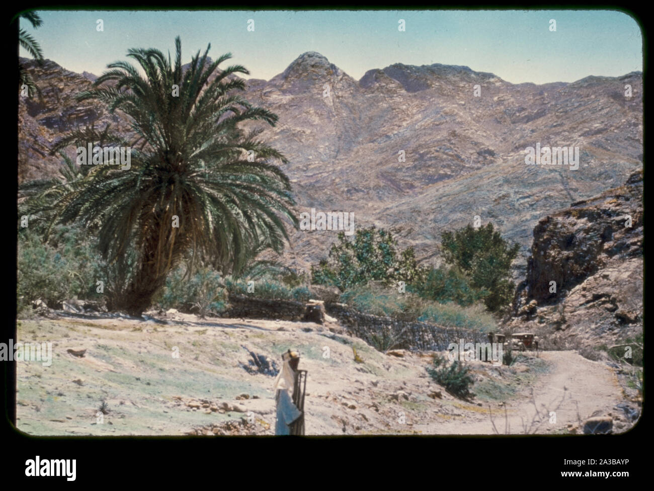 Sinai. Wady Feiran, el Mahrad, Peran Stock Photo - Alamy