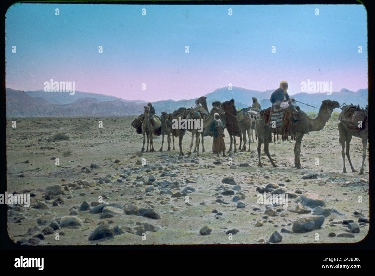 Sinai. Wilderness of Sin. Exodus 16:1 Stock Photo - Alamy