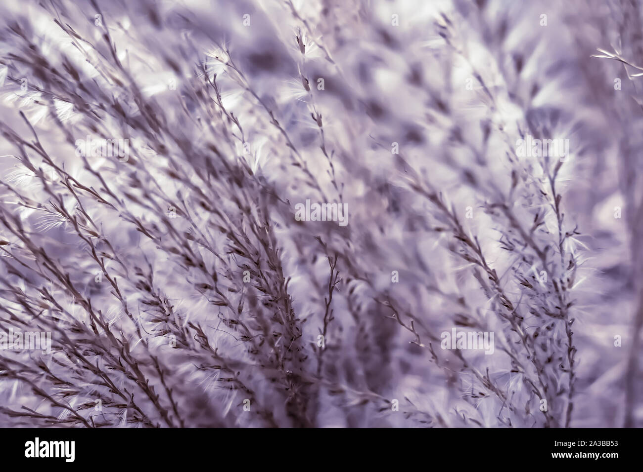 Rural landscape, pastel backdrop and environmental design concept ...