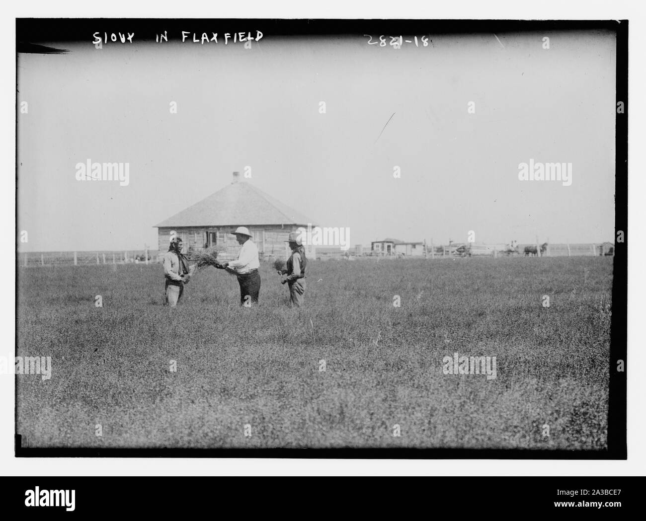 Native american indigenous ethnic sioux tribe hi-res stock photography ...
