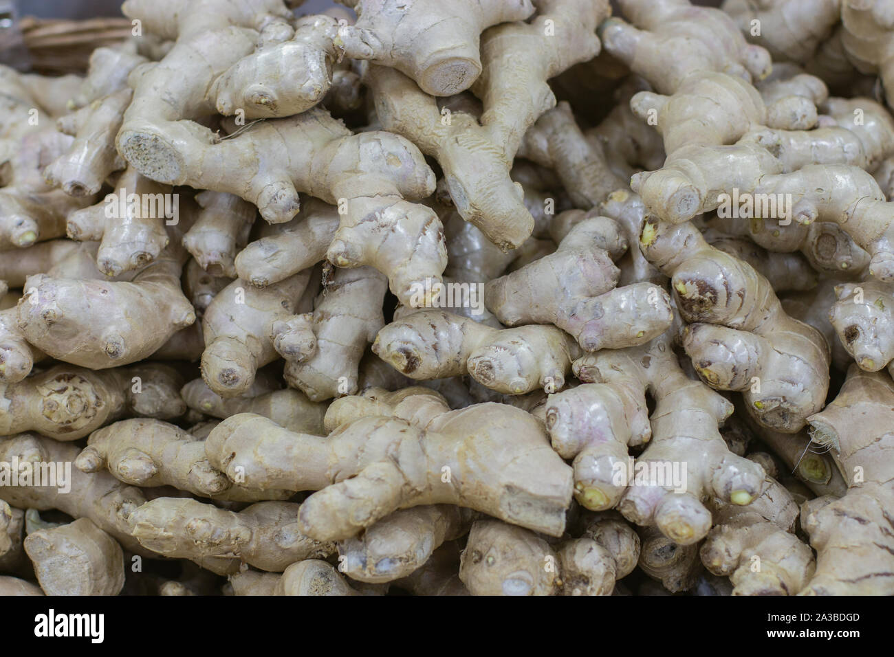 Ginger rhizome close-up background. Fresh natural ginger root on a ...
