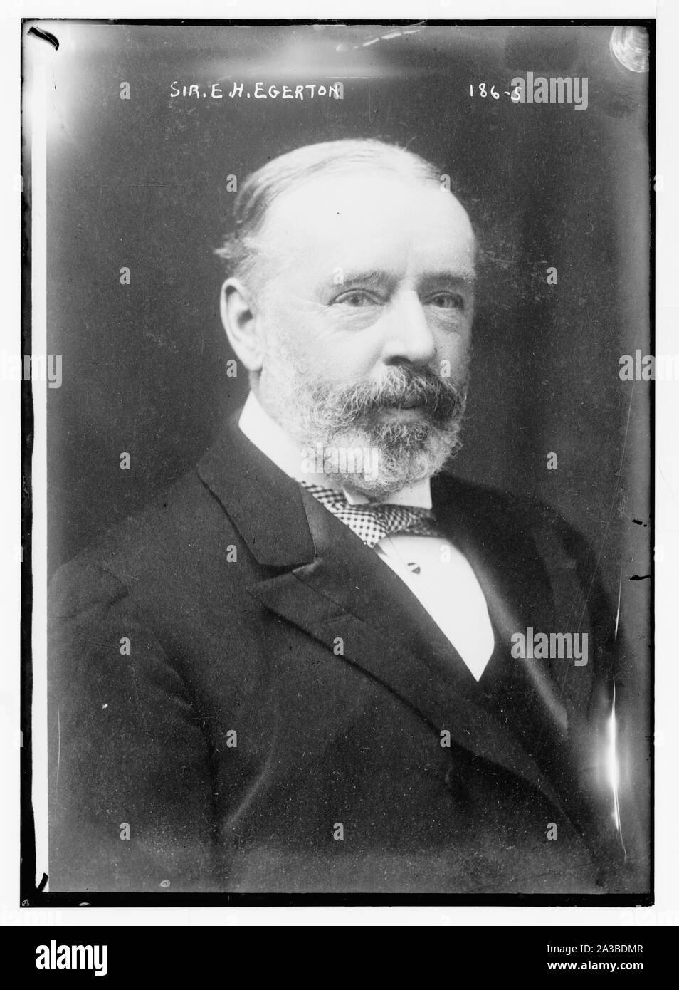 Sir E.H. Egerton, portrait bust Stock Photo - Alamy