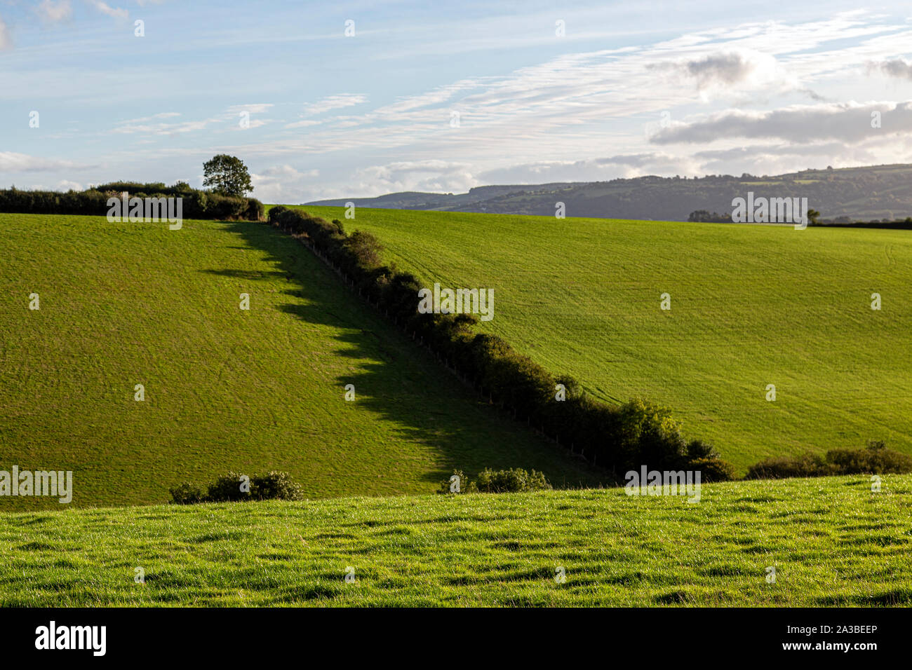 Devon Hedge, Agricultural Field, Agriculture, Ancient, Awe, Devon ...