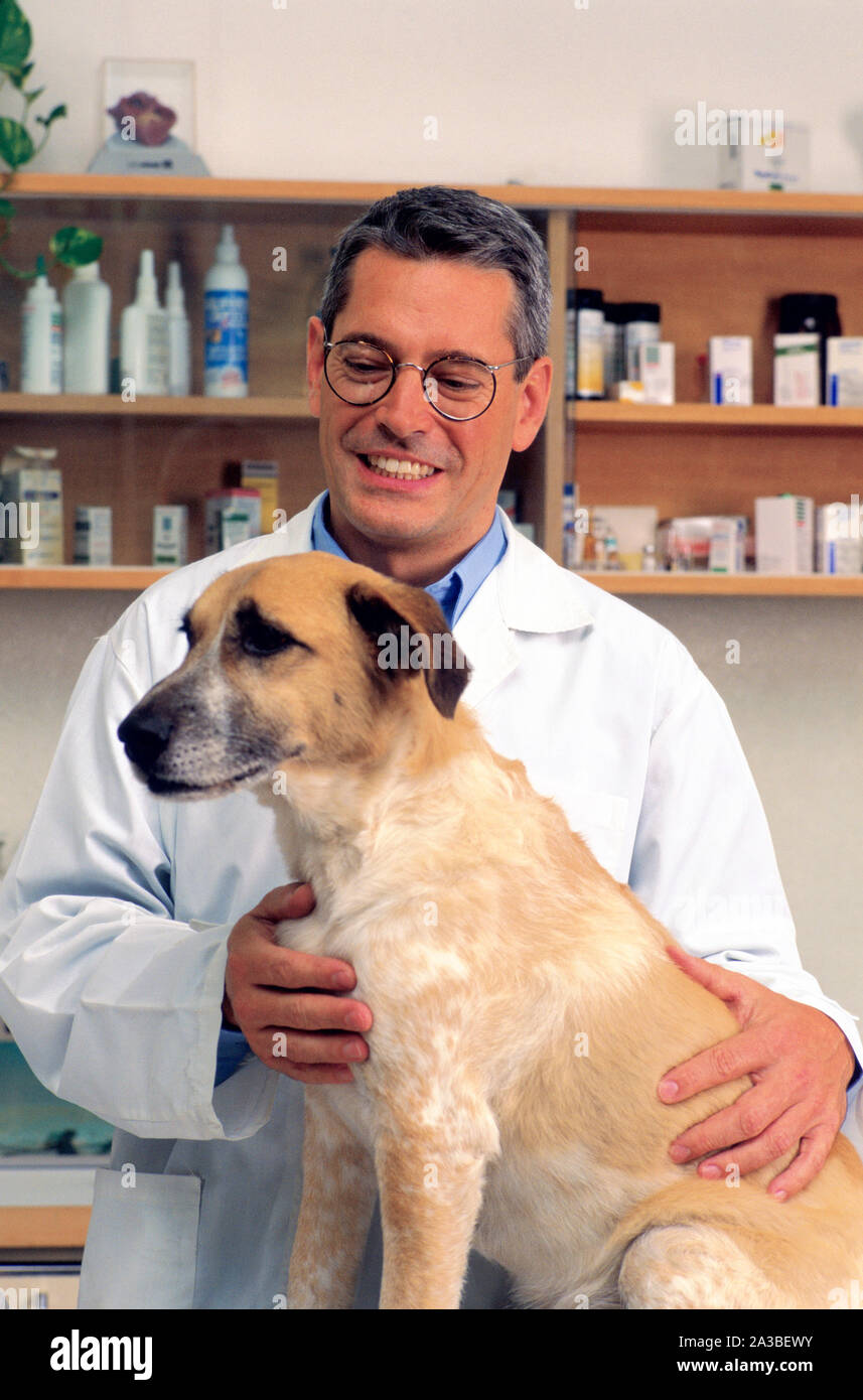 Veterinarian offices hi-res stock photography and images - Alamy