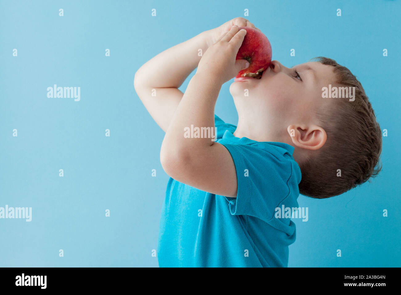Baby child holding and eating red apple on blue background, food, diet ...