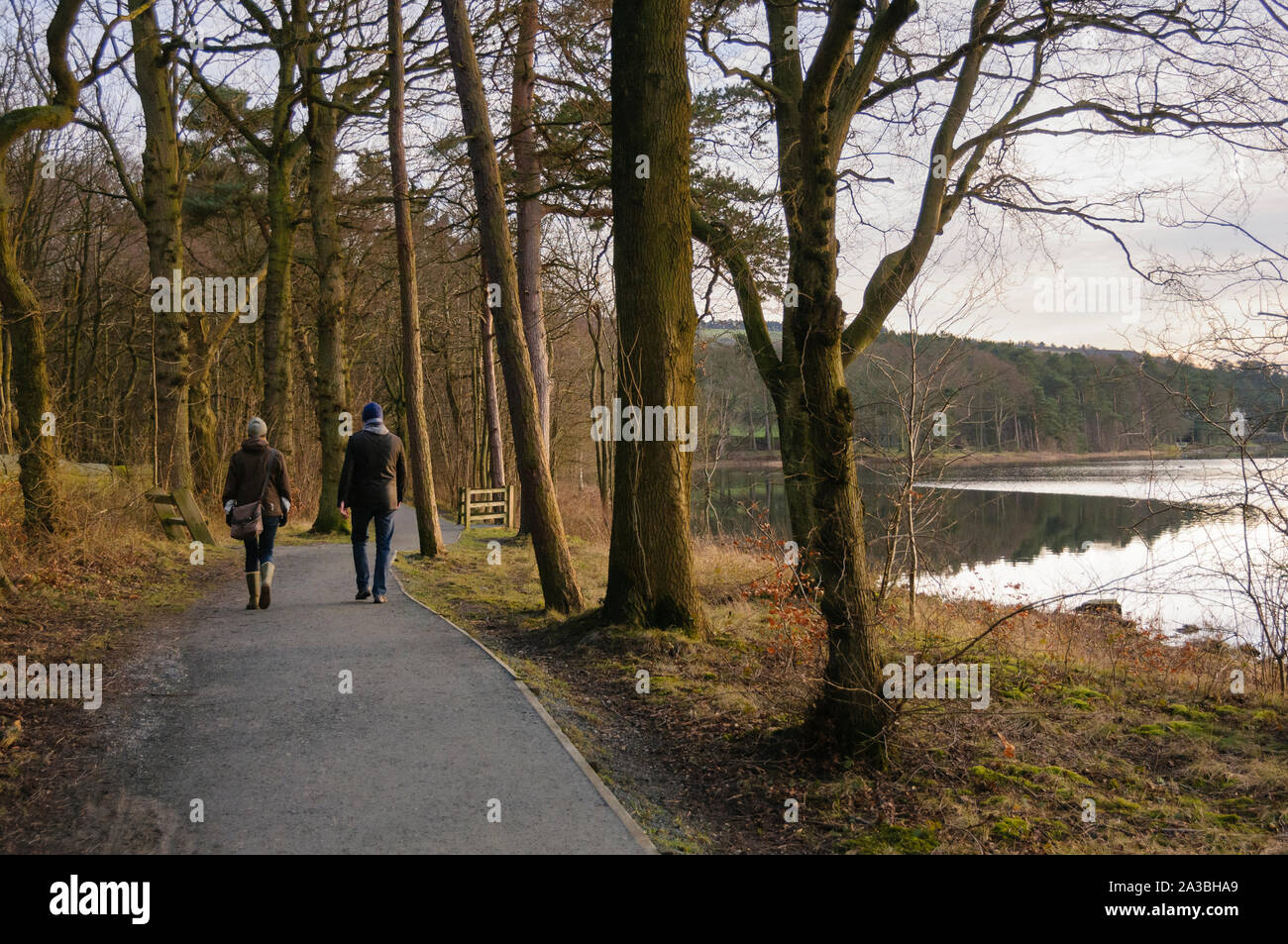 Couple (man & woman) walking on waterside path by scenic, calm, tree ...