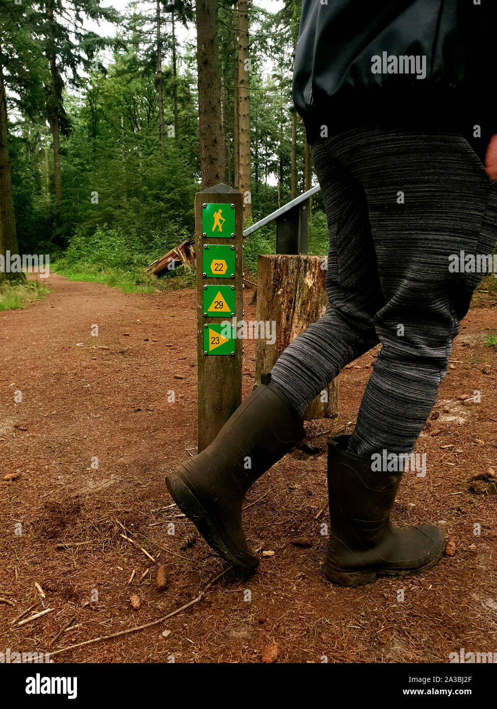 Wooden post on hiking trail in hi-res stock photography and images - Alamy
