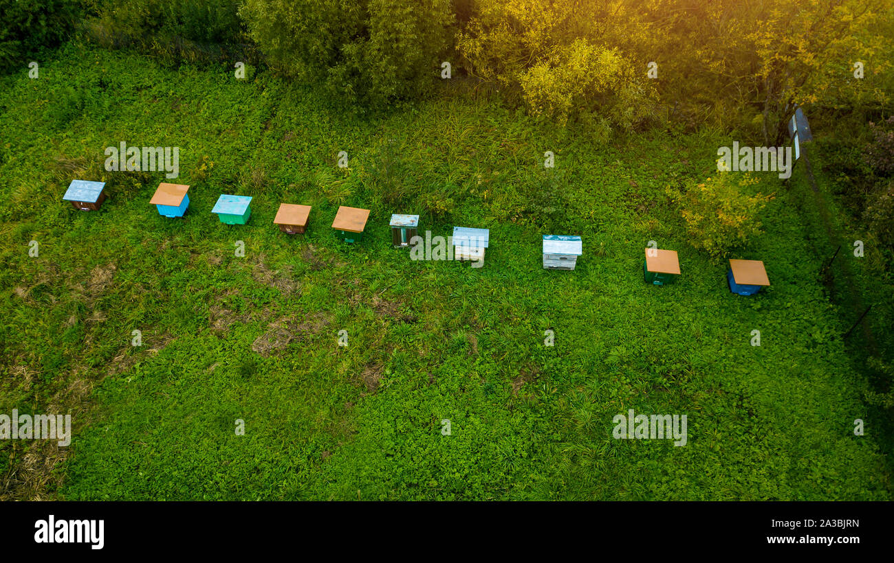 bee apiary with beehives top view Stock Photo - Alamy