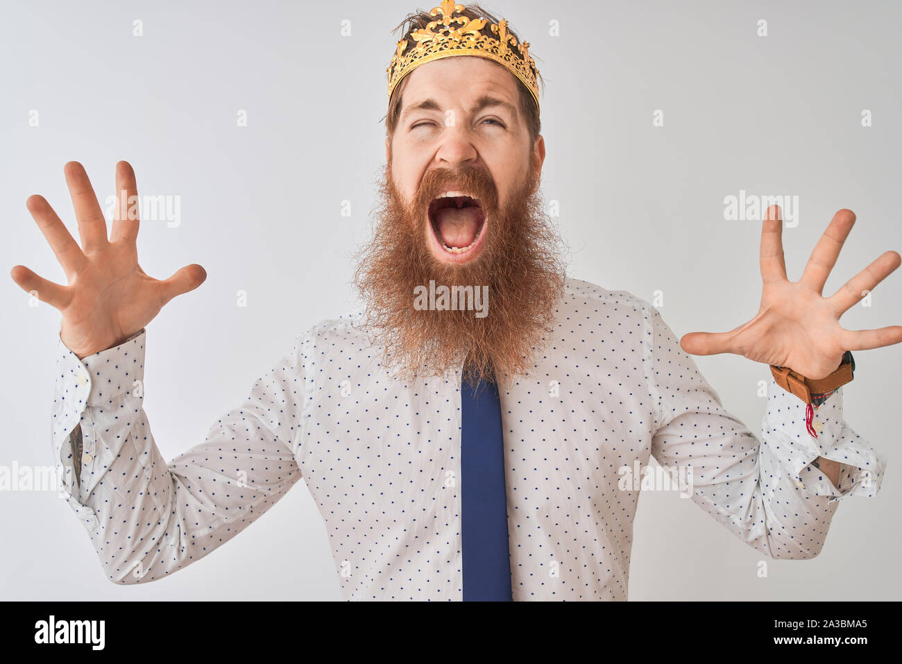 Young redhead irish businessman wearing crown king over isolated white ...