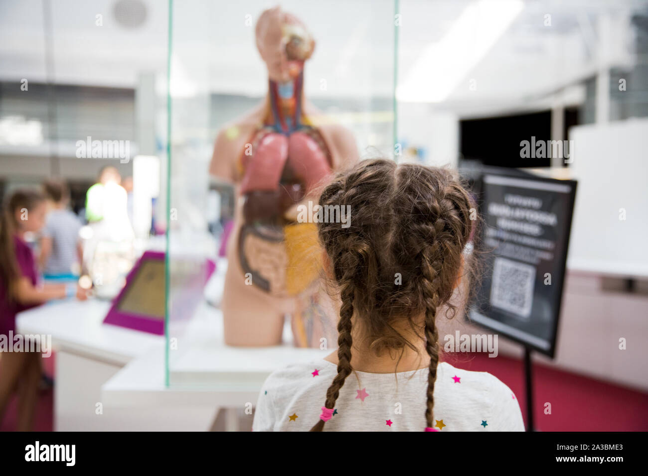 A little girl examines the layout of a human body with internal organs ...