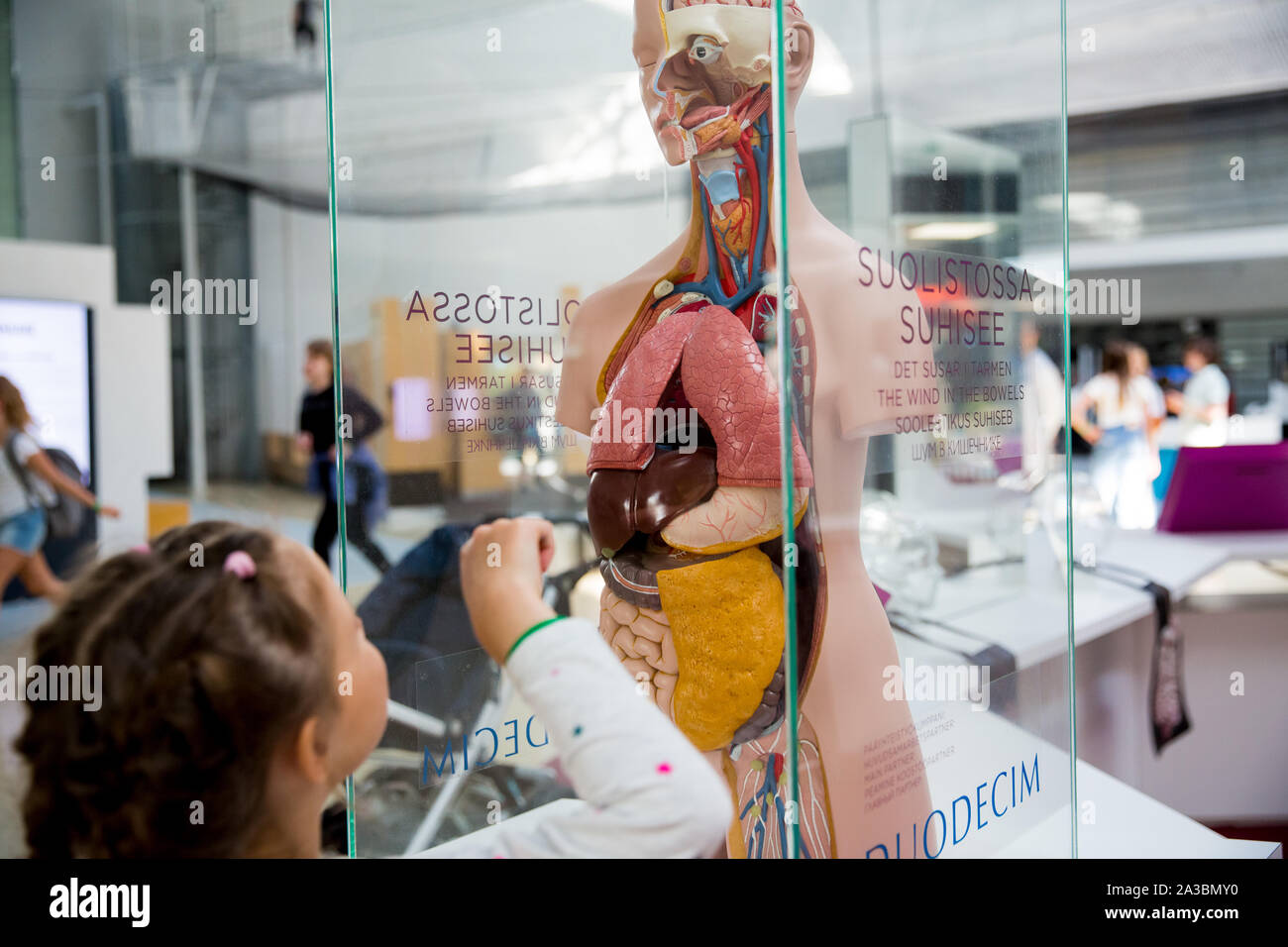 A little girl examines the layout of a human body with internal organs ...