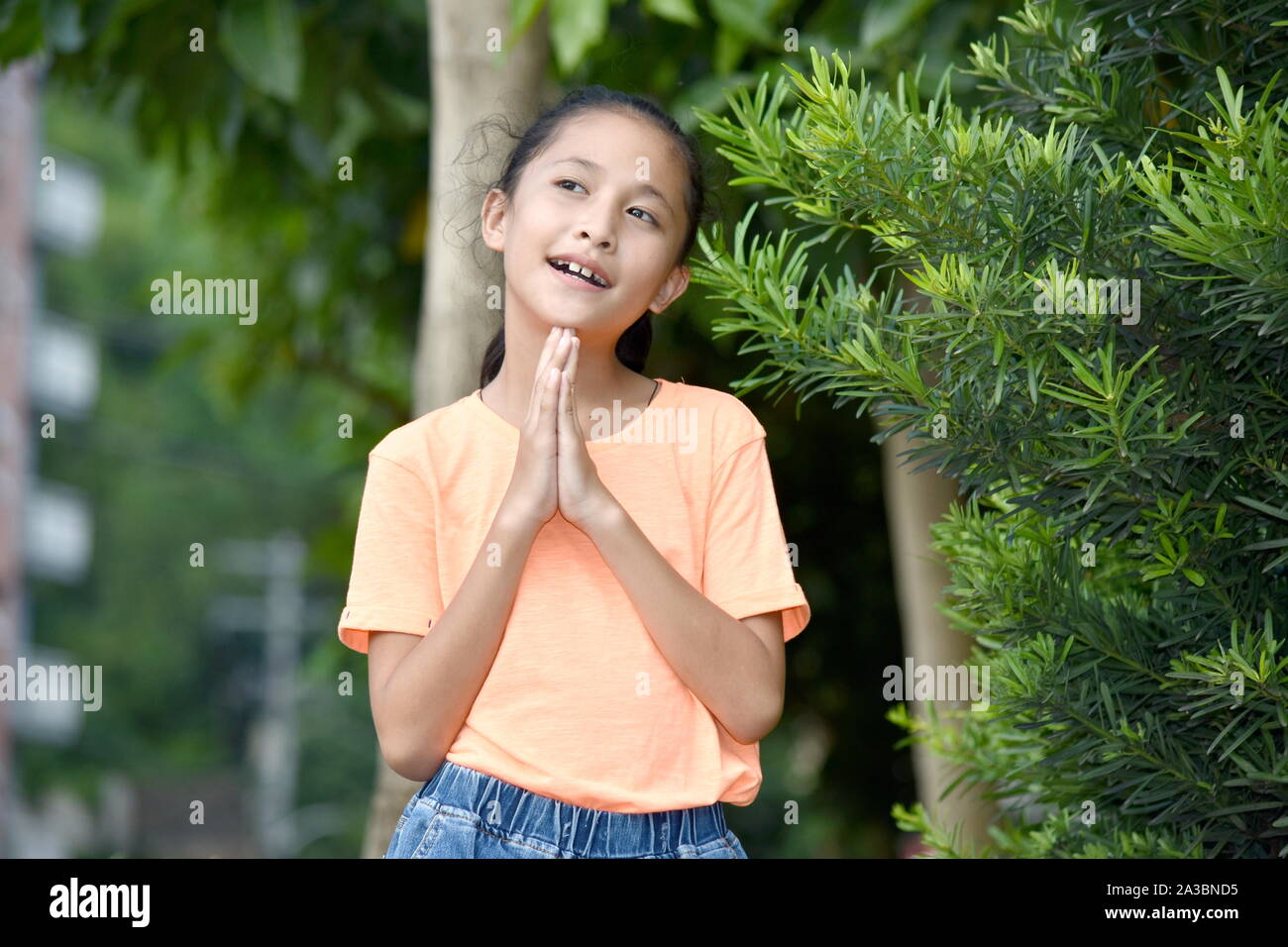 A Young Asian Female Praying Stock Photo - Alamy
