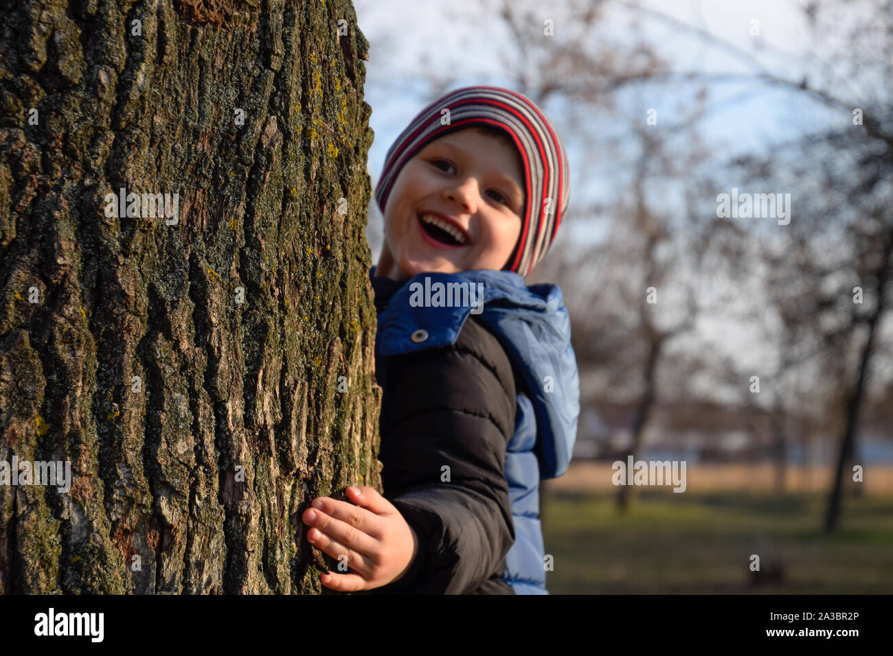 A little boy is hiding behind a big tree. A child peeks out from behind ...
