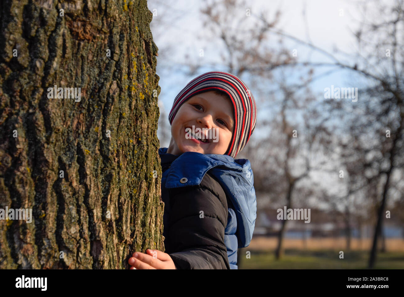 A little boy is hiding behind a big tree. A child peeks out from behind ...