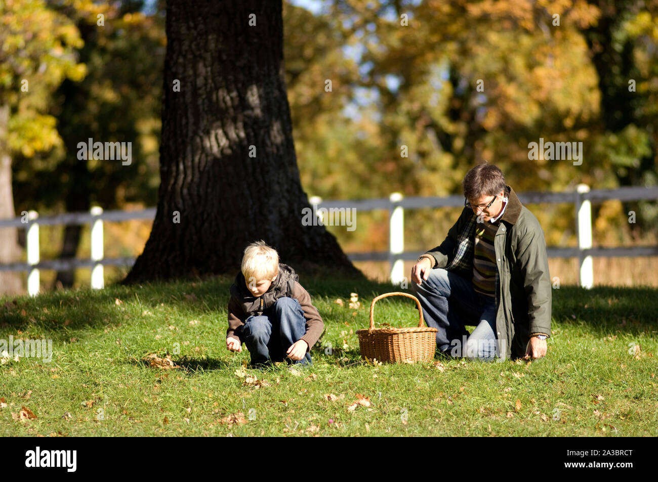 Mushroom parents hi-res stock photography and images - Alamy