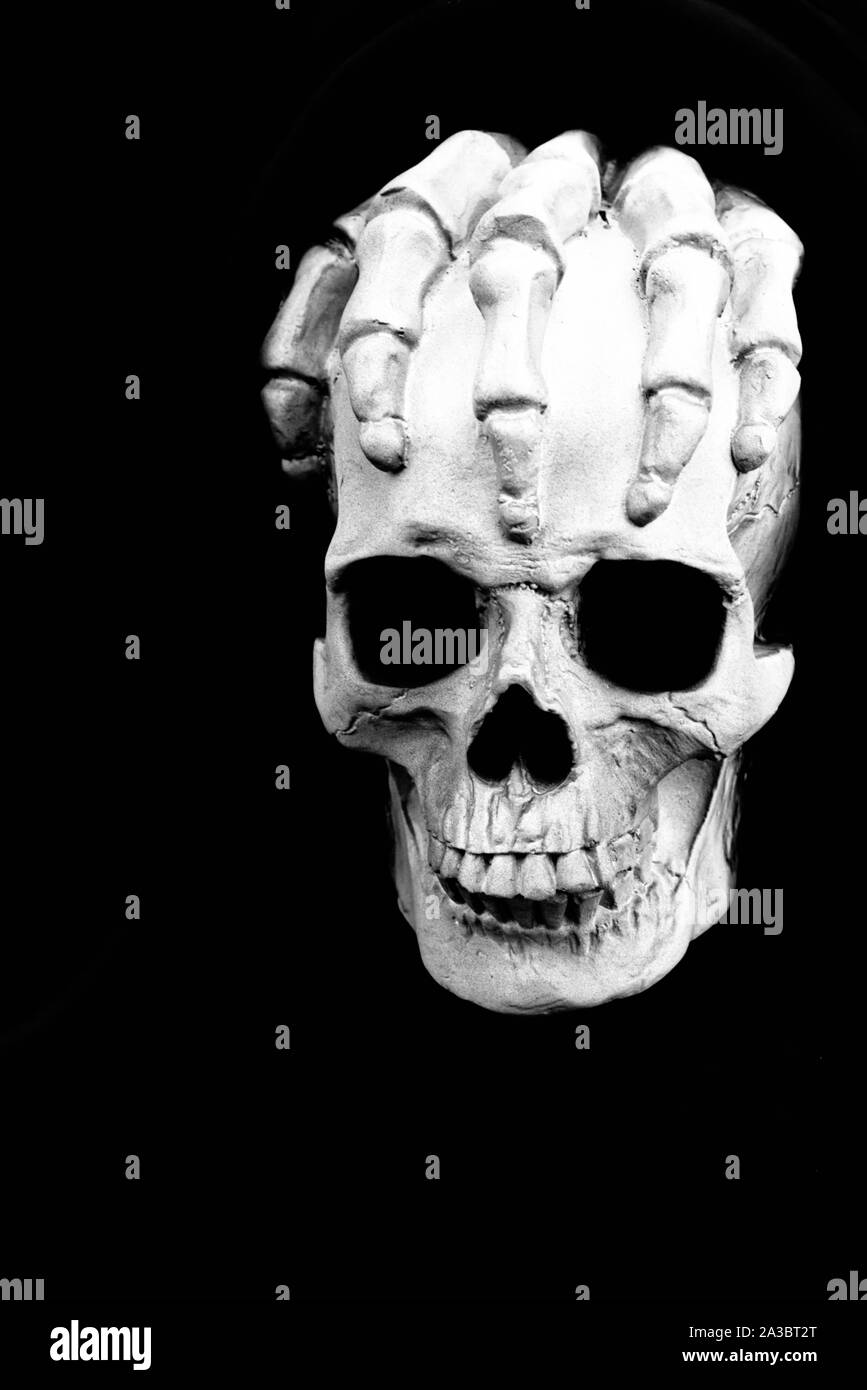 Facial skull Black and White Stock Photos & Images - Alamy