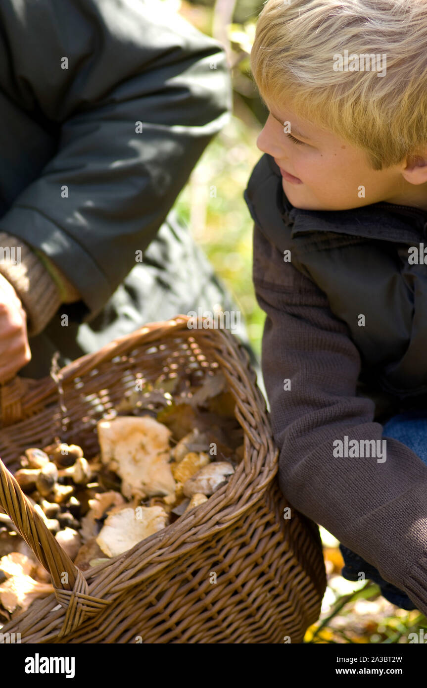 father and son searching mushroom Stock Photo - Alamy
