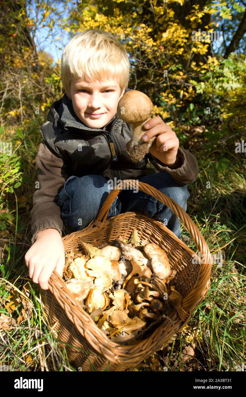 little boy, mushrooms Stock Photo - Alamy