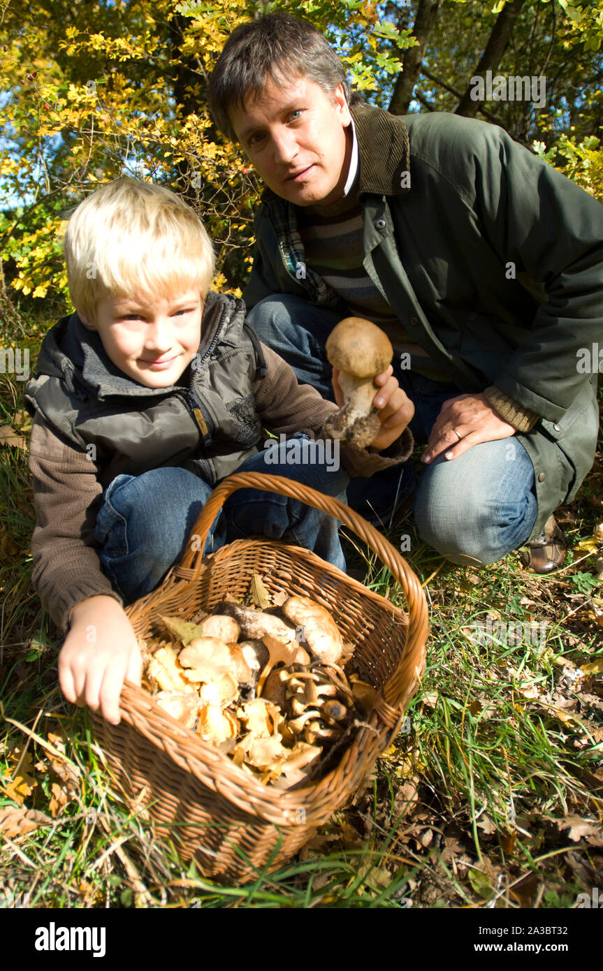 father and son searching mushroom Stock Photo - Alamy