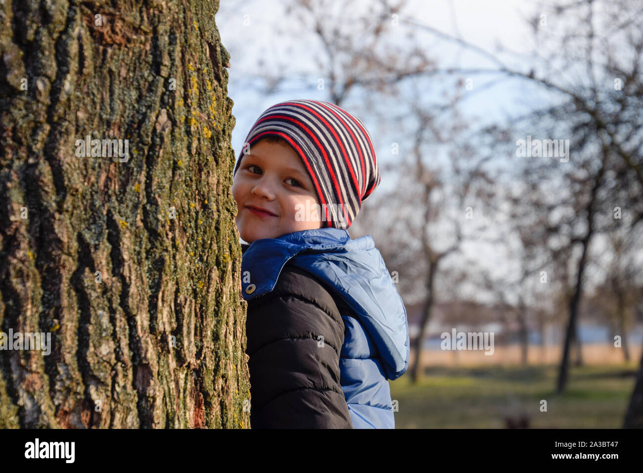 A little boy is hiding behind a big tree. A child peeks out from behind ...