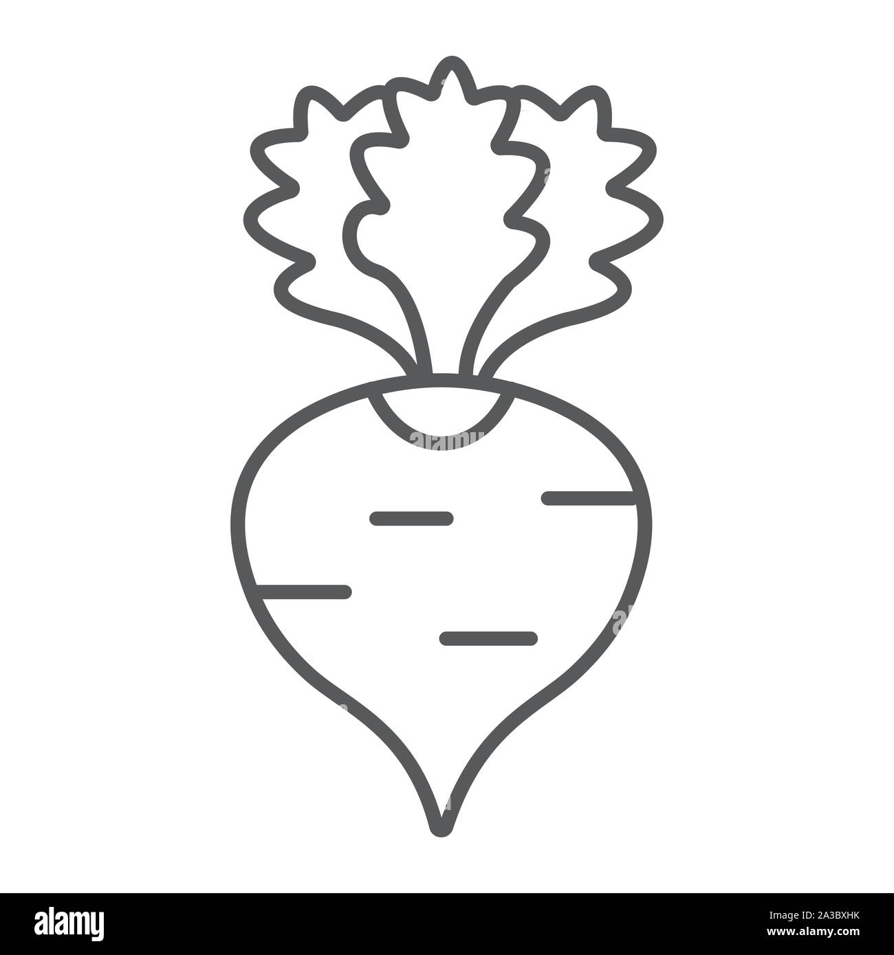 Radish thin line icon, fruits and vegetables, beetroot sign, vector ...