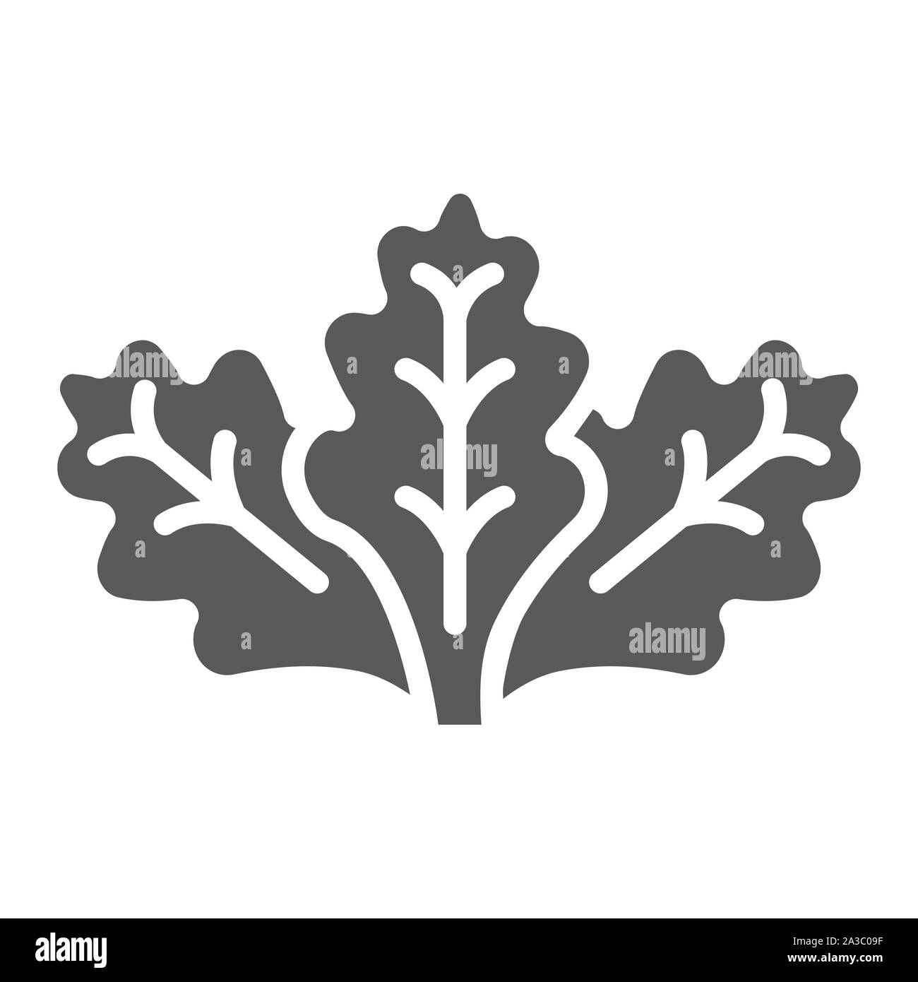 Lettuce glyph icon, vegetable and organic, salad sign, vector graphics ...