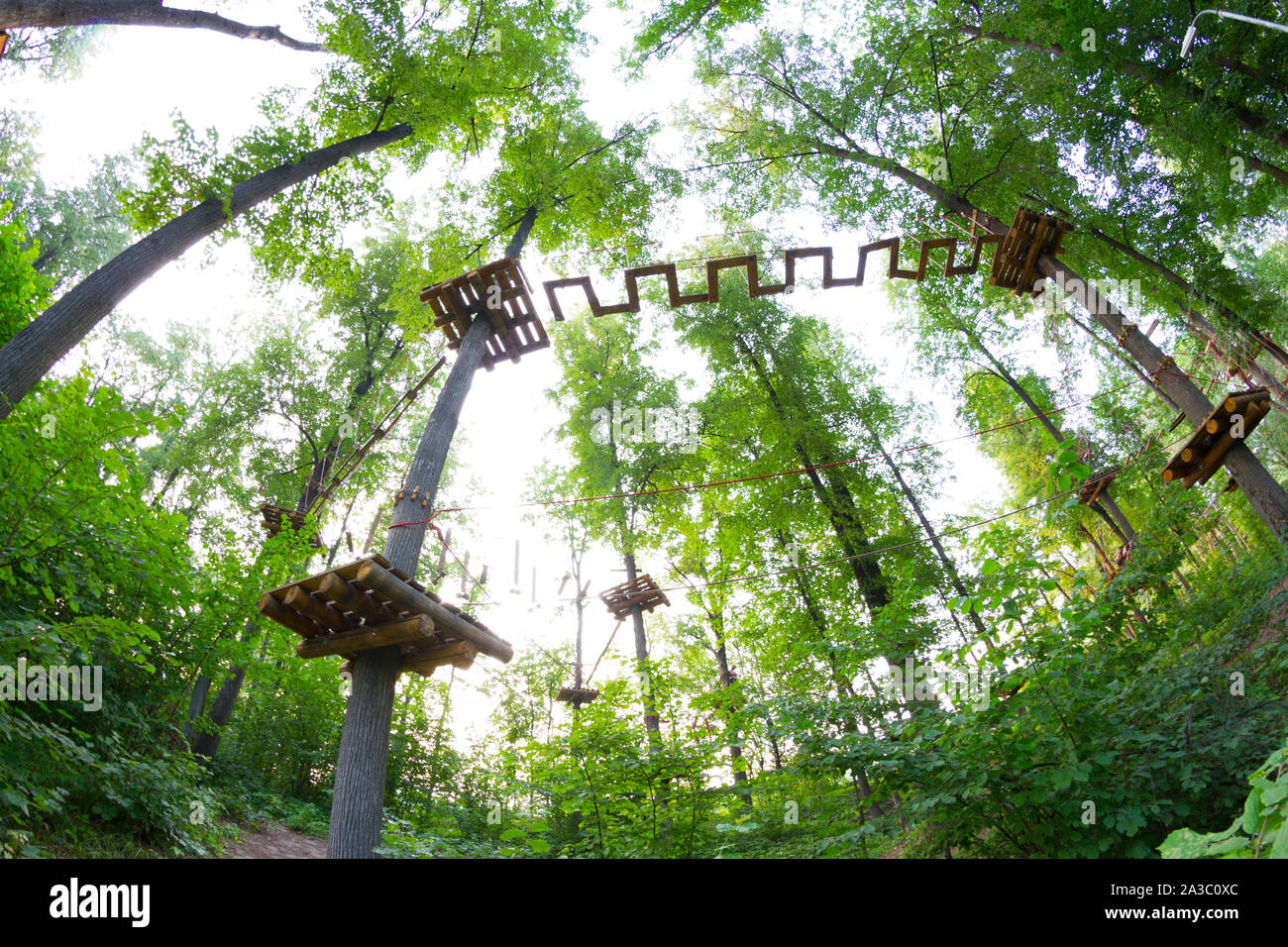 Adventure cpark in forest. Rope bridges high on trees Stock Photo - Alamy