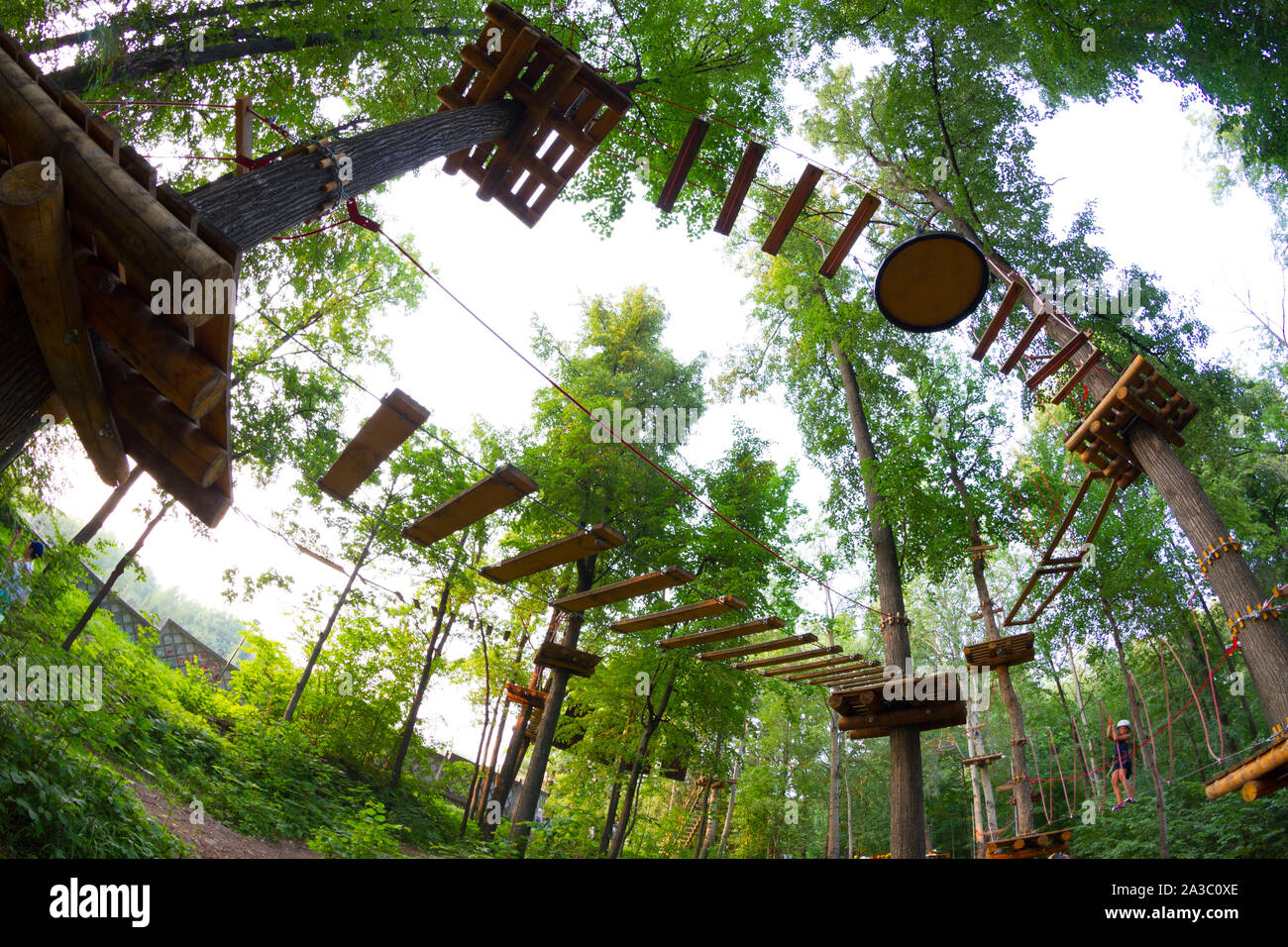 Adventure cpark in forest. Rope bridges high on trees Stock Photo - Alamy