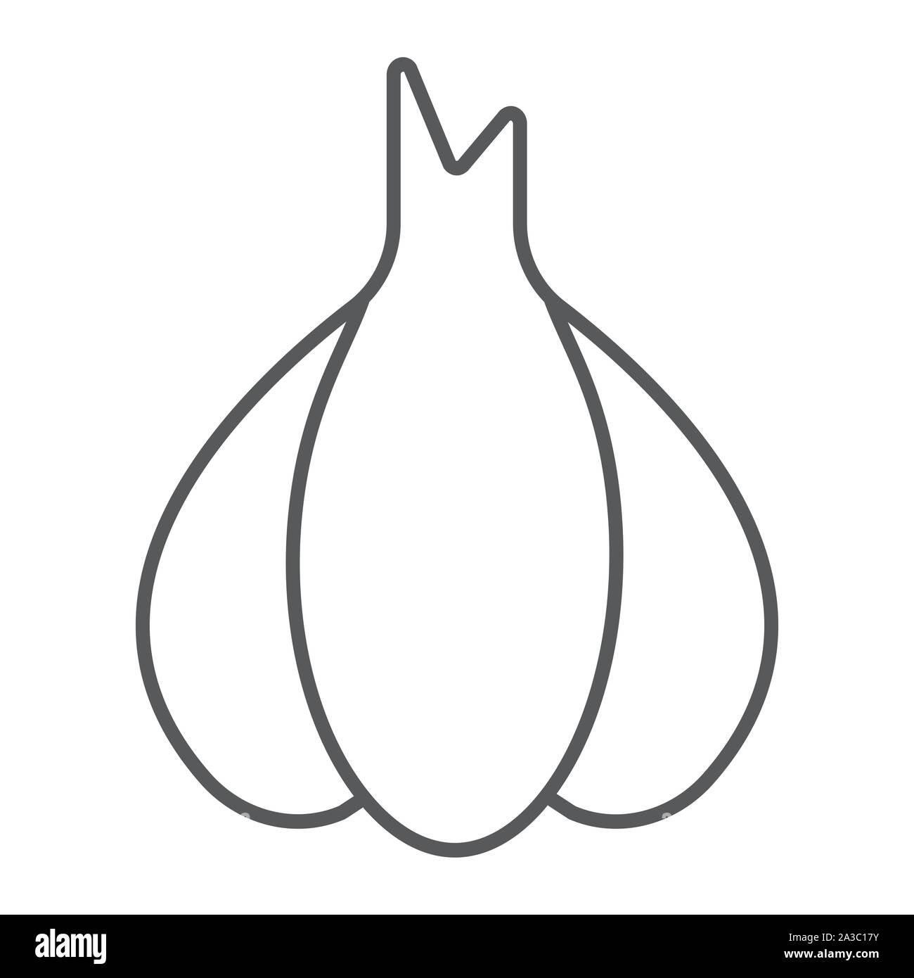 Garlic thin line icon, pungent and vegetable, clove sign, vector ...