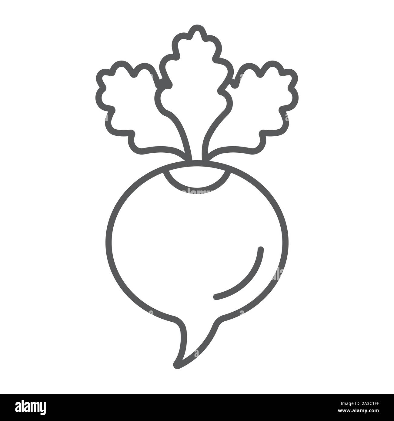 Beetroot thin line icon, beet and vegetable, vitamin sign, vector ...