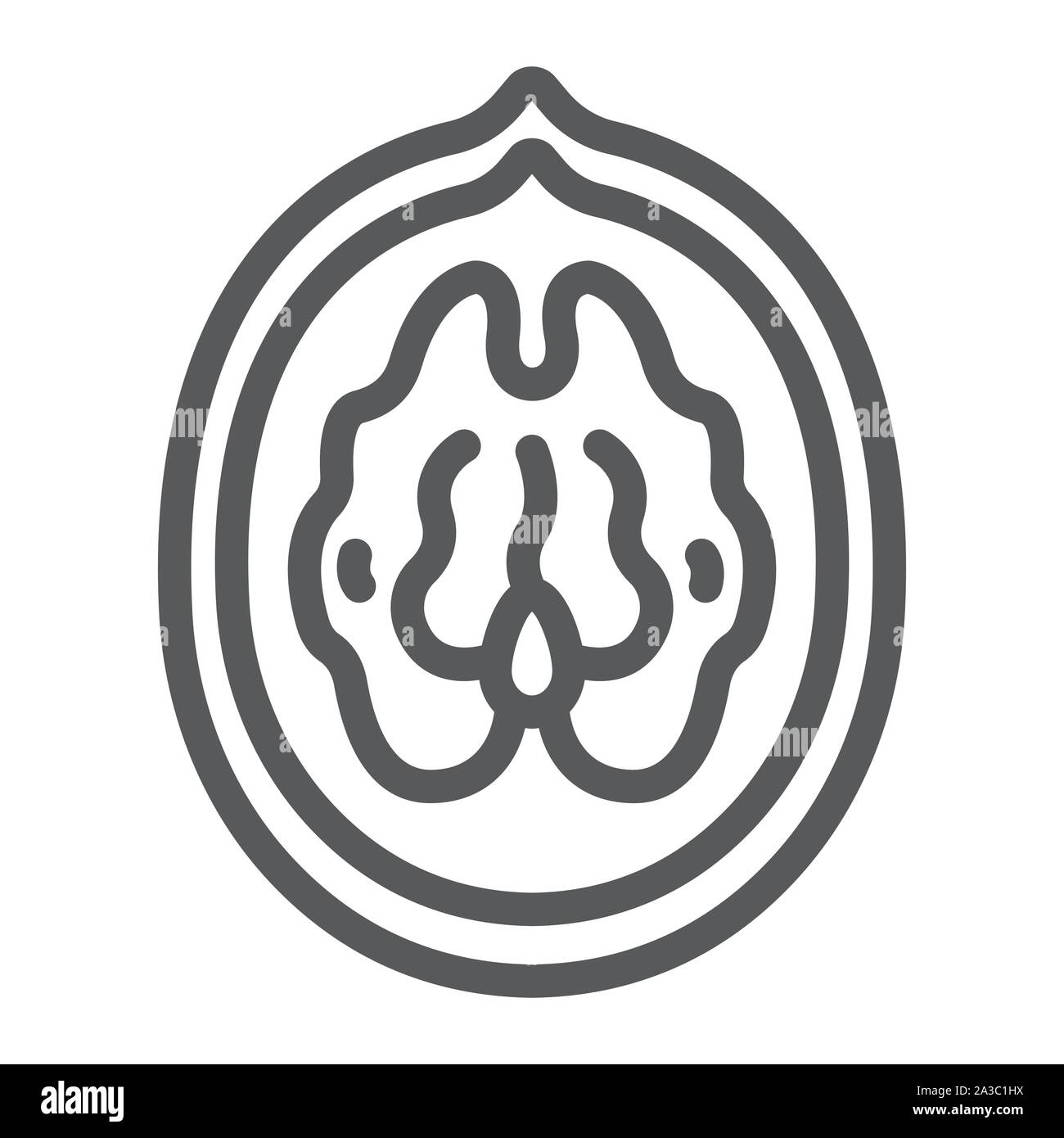 Walnut line icon, plant and food, nut sign, vector graphics, a linear ...