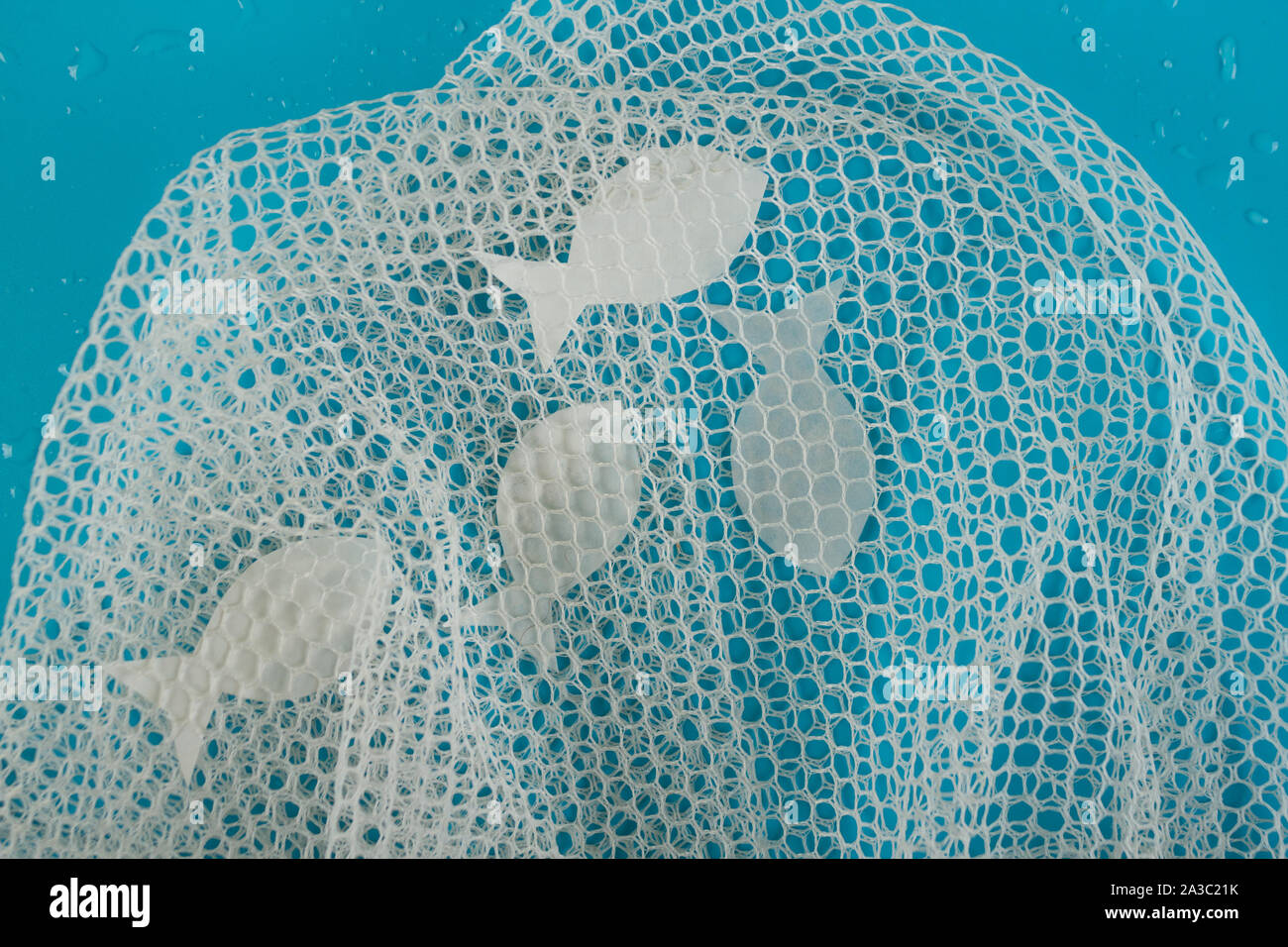 Fish in fish net. Sea is overfished concept Stock Photo - Alamy