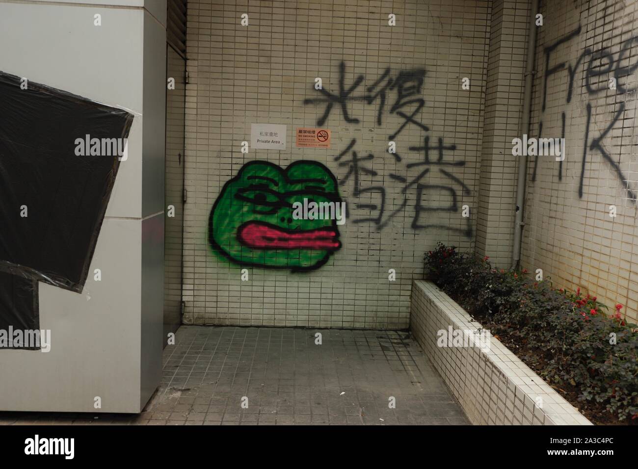 Pepe the frog hi-res stock photography and images - Alamy