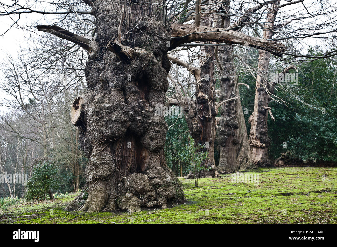 Warley place hi-res stock photography and images - Alamy
