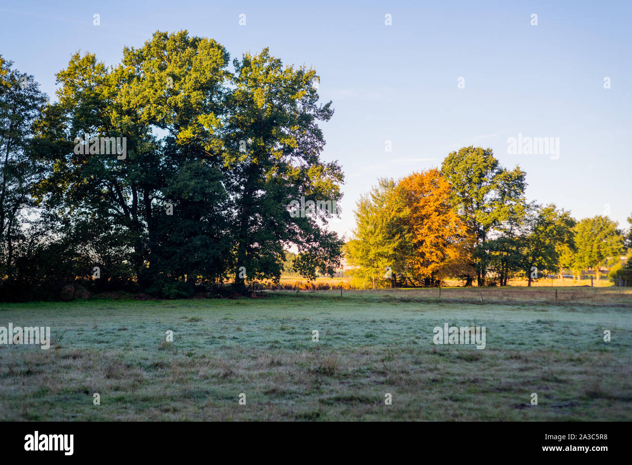 the landscape slowly changes its colors in autumn tones Stock Photo - Alamy
