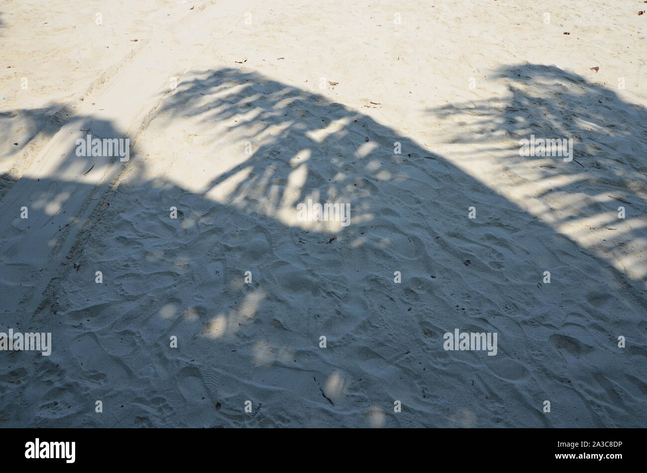 The view of the palm tree shadow on the beach Stock Photo - Alamy