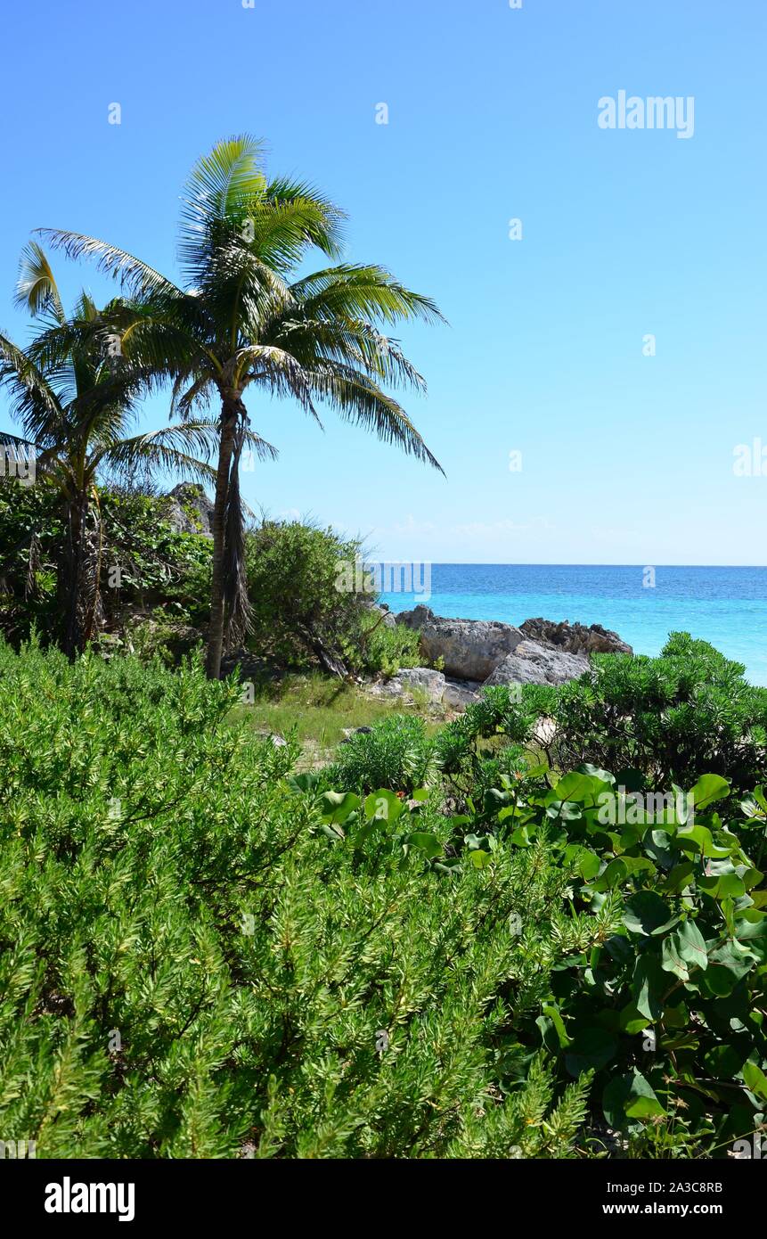 The view of the sea and the beach - tropical climate and crystal clear ...